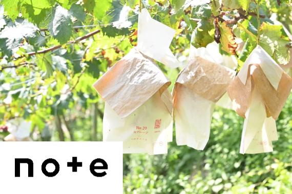 一人一人の「能率」を最大化させる、振り返りのマネジメント「YWT」のすすめ | 日本能率協会コンサルティング